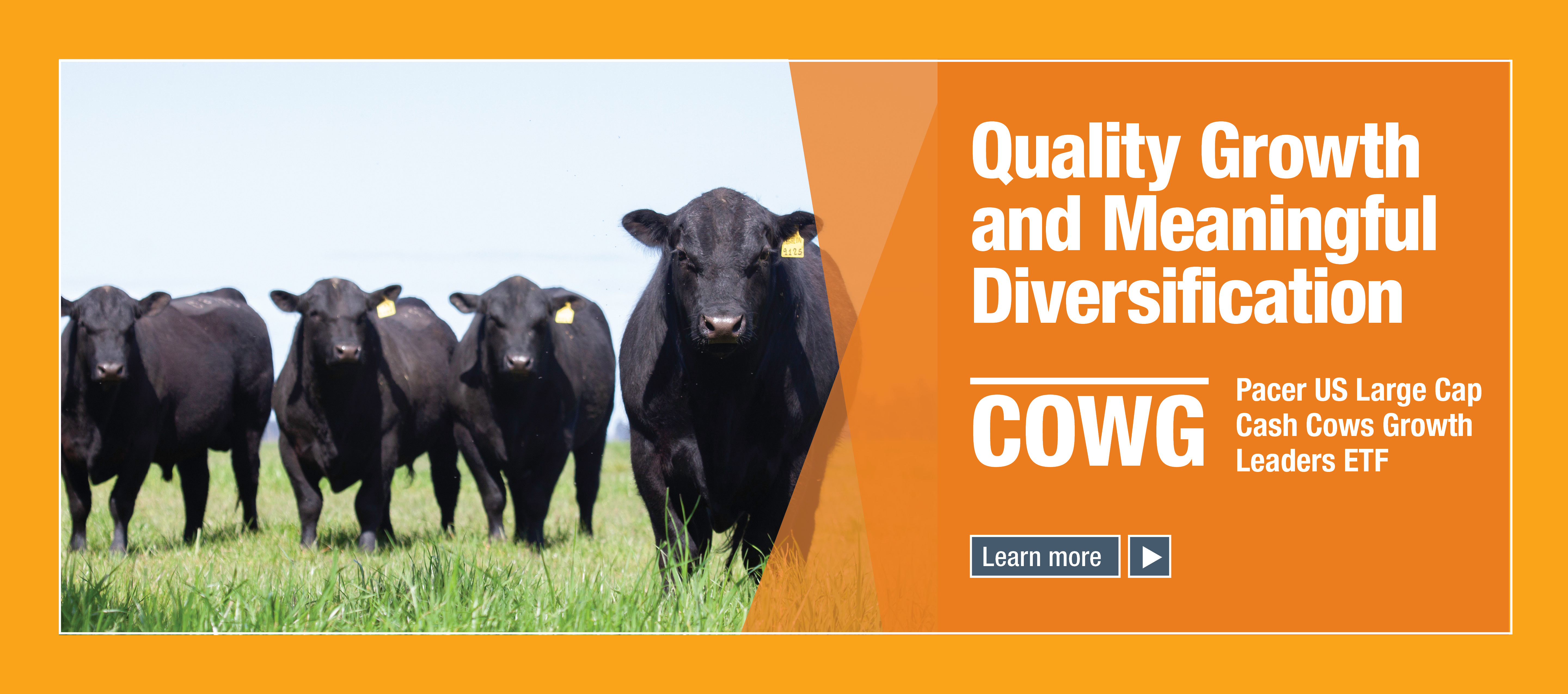 Strategy Driven ETFs® | Pacer ETFs