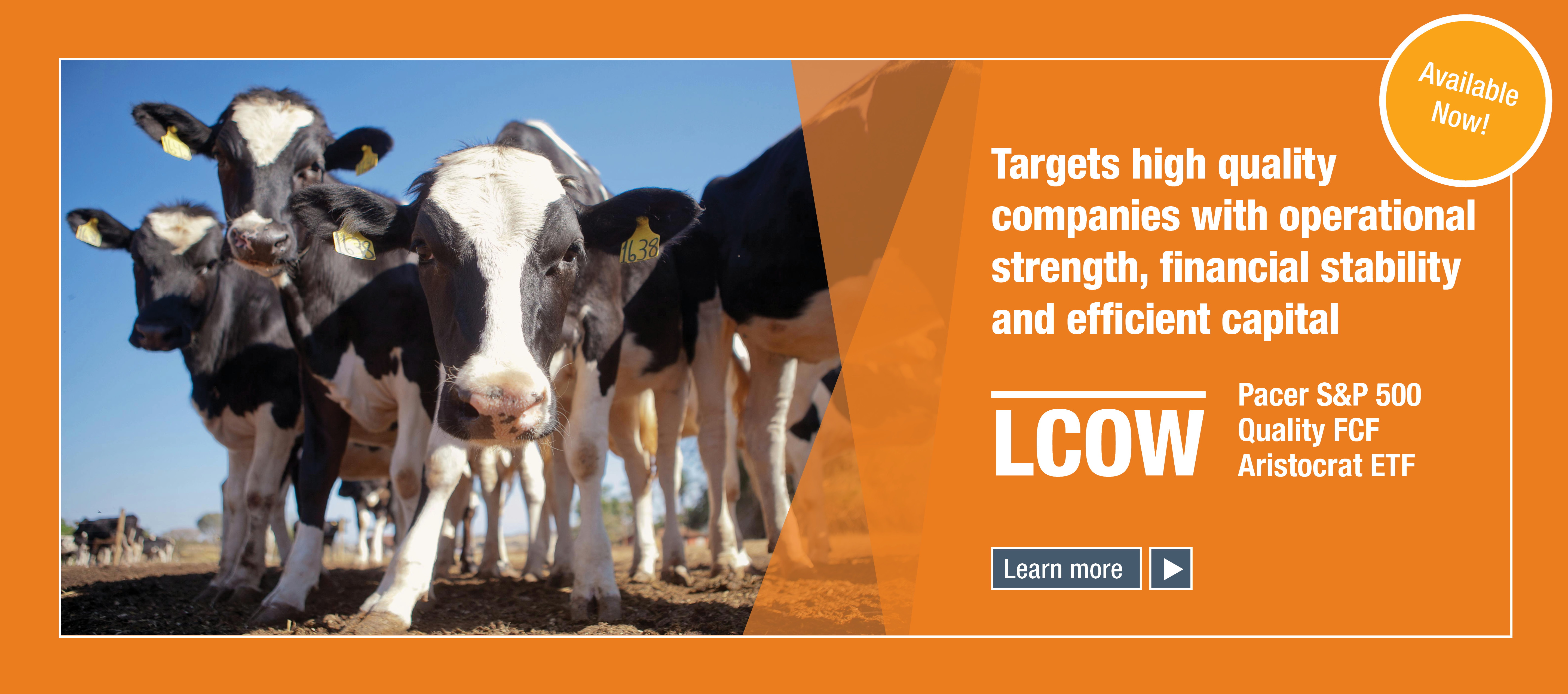 Strategy Driven ETFs® | Pacer ETFs