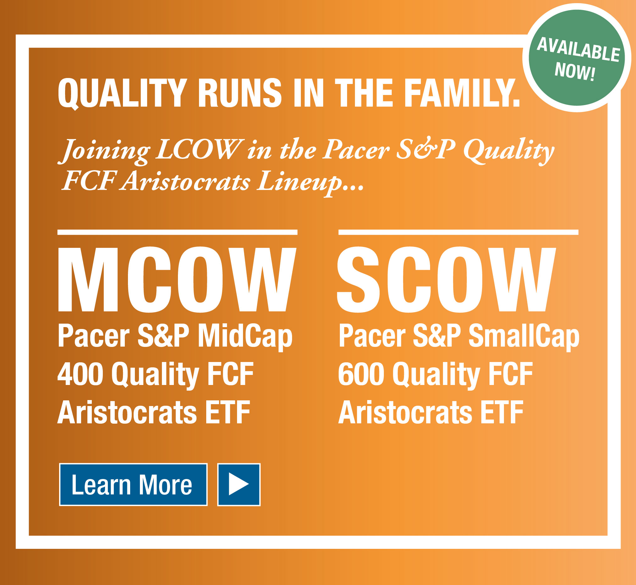 Strategy Driven ETFs® | Pacer ETFs