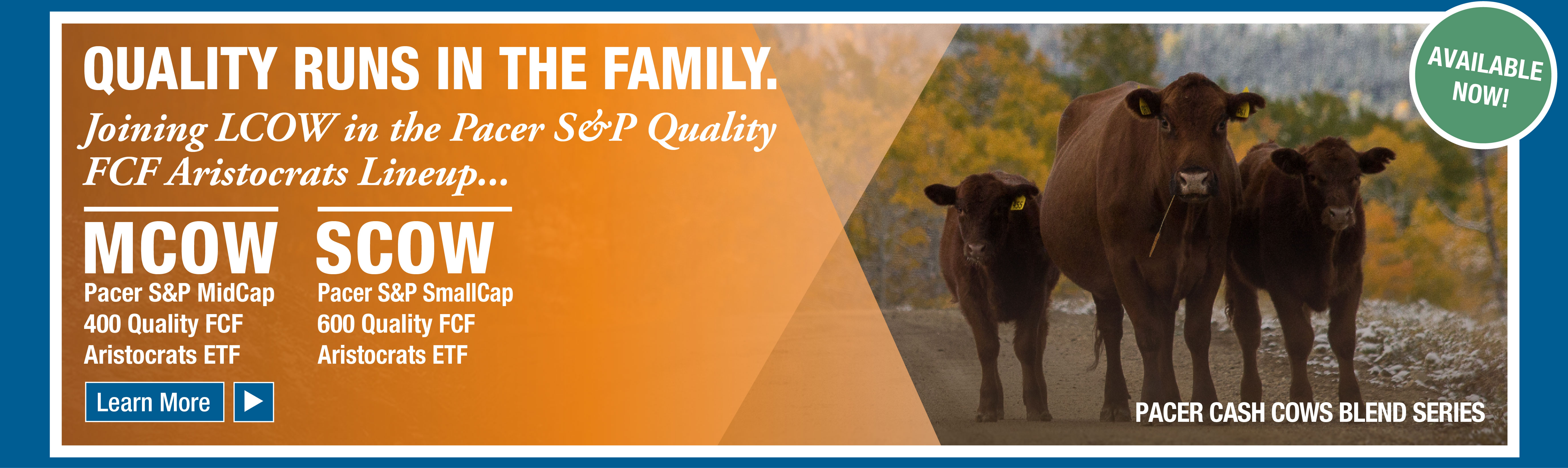 Strategy Driven ETFs® | Pacer ETFs