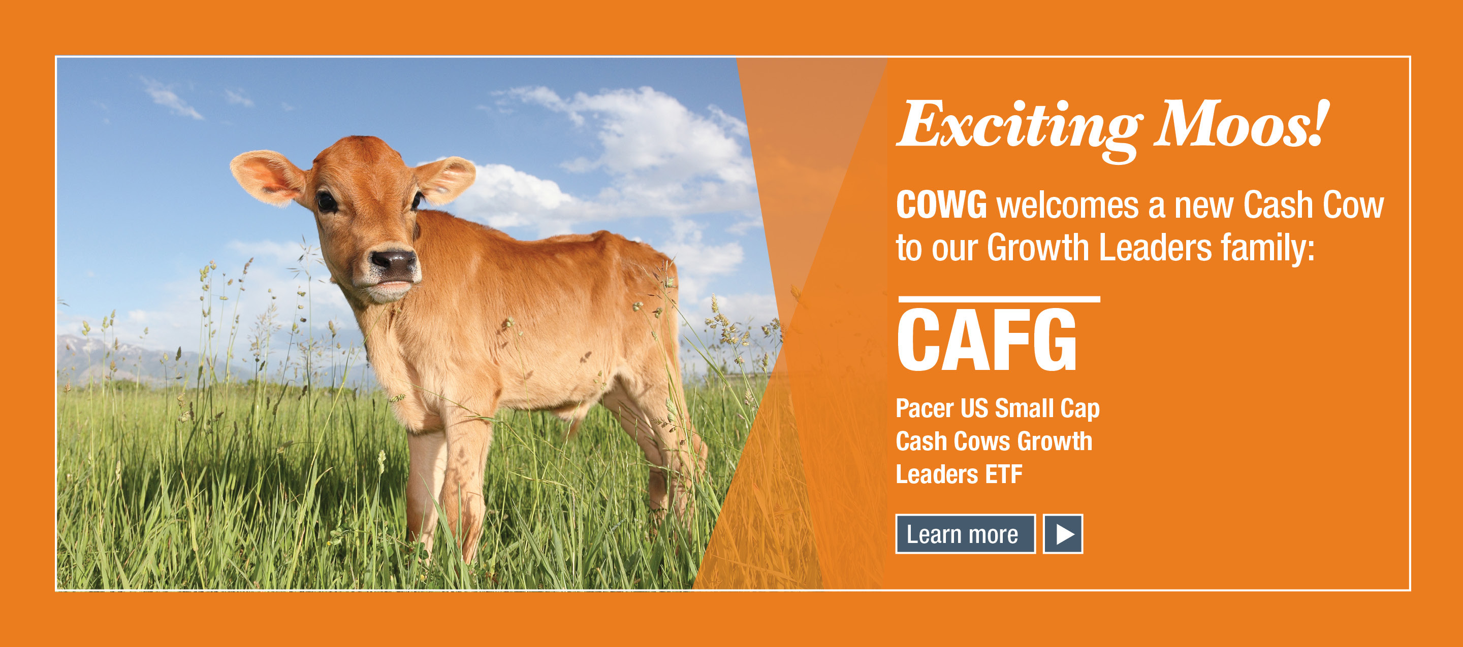 Strategy Driven ETFs® | Pacer ETFs