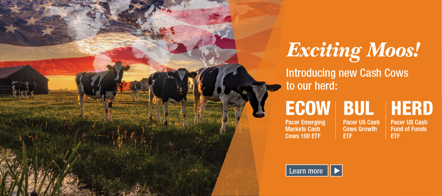 Strategy Driven ETFs® | Pacer ETFs