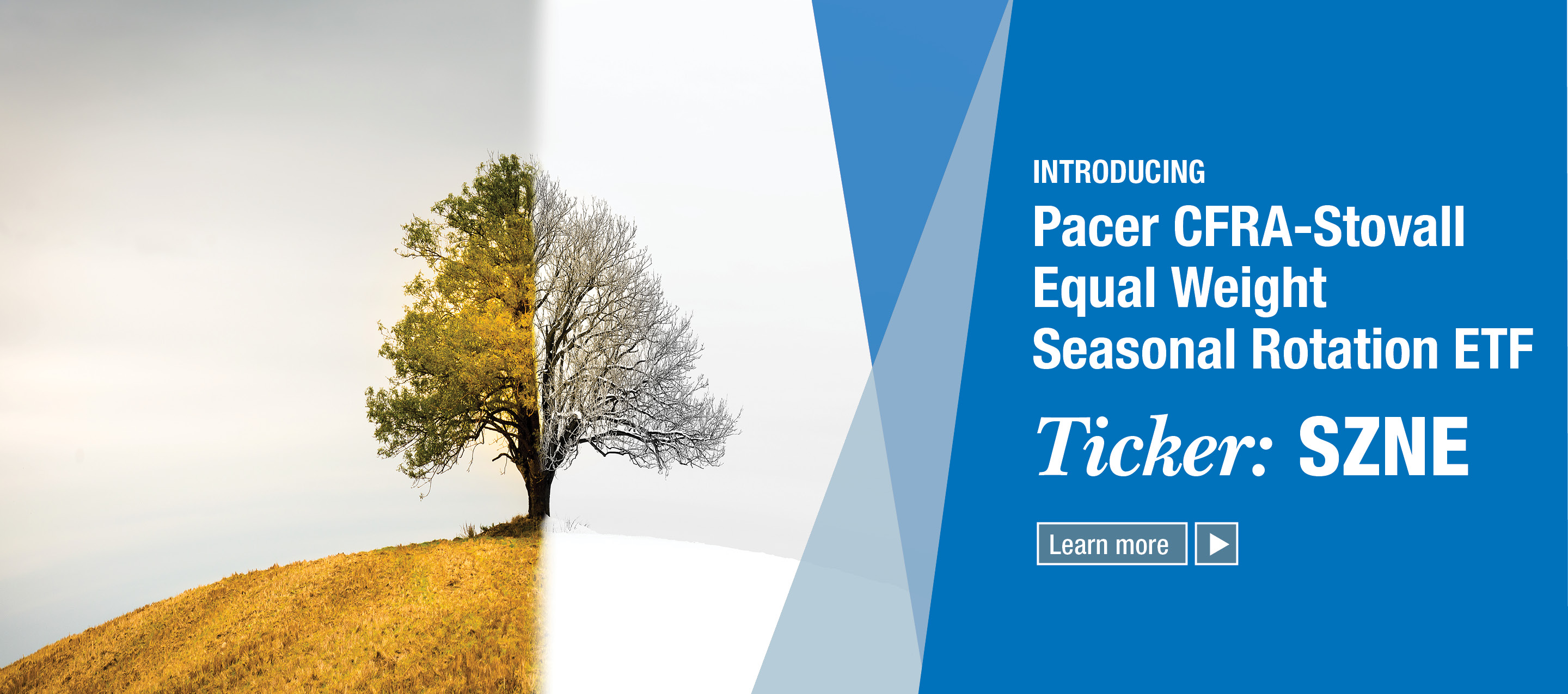 Strategy Driven ETFs® | Pacer ETFs