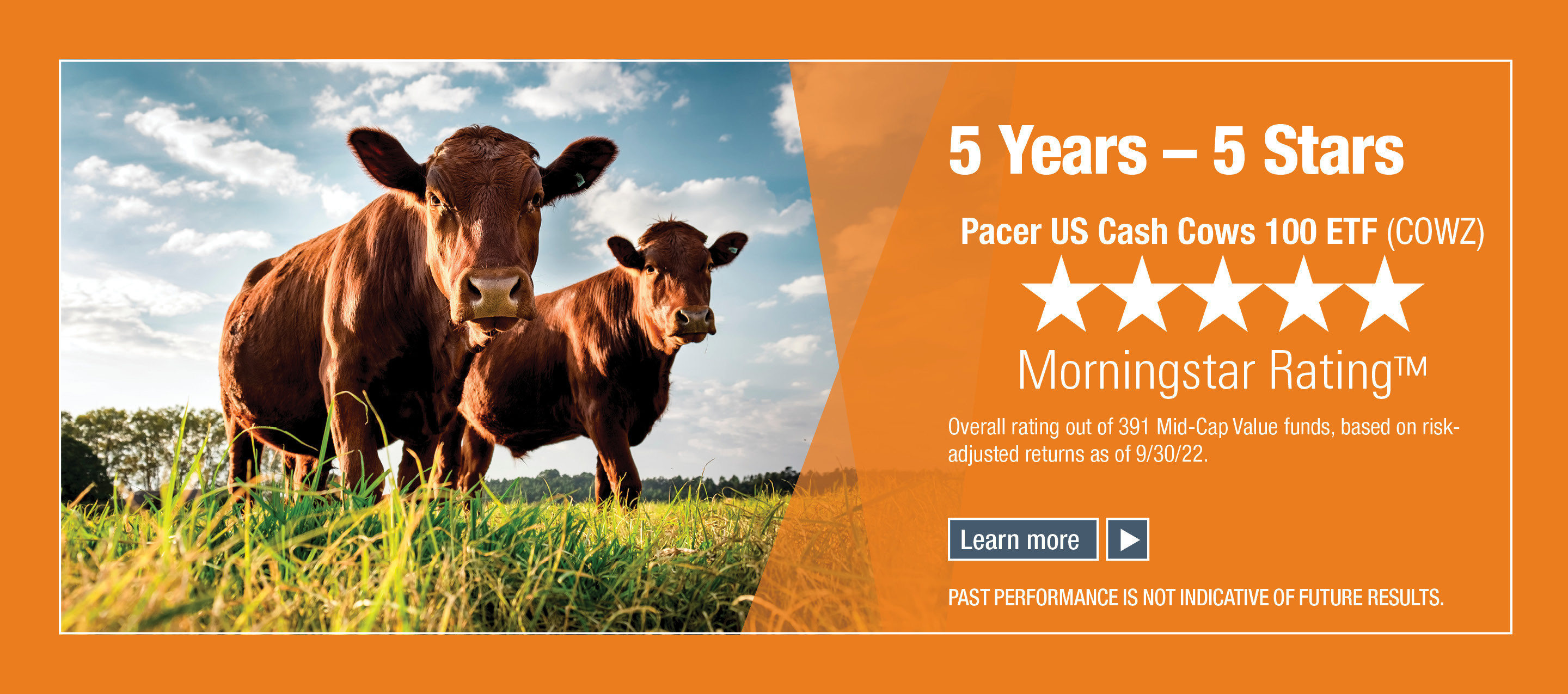 Strategy Driven ETFs® | Pacer ETFs