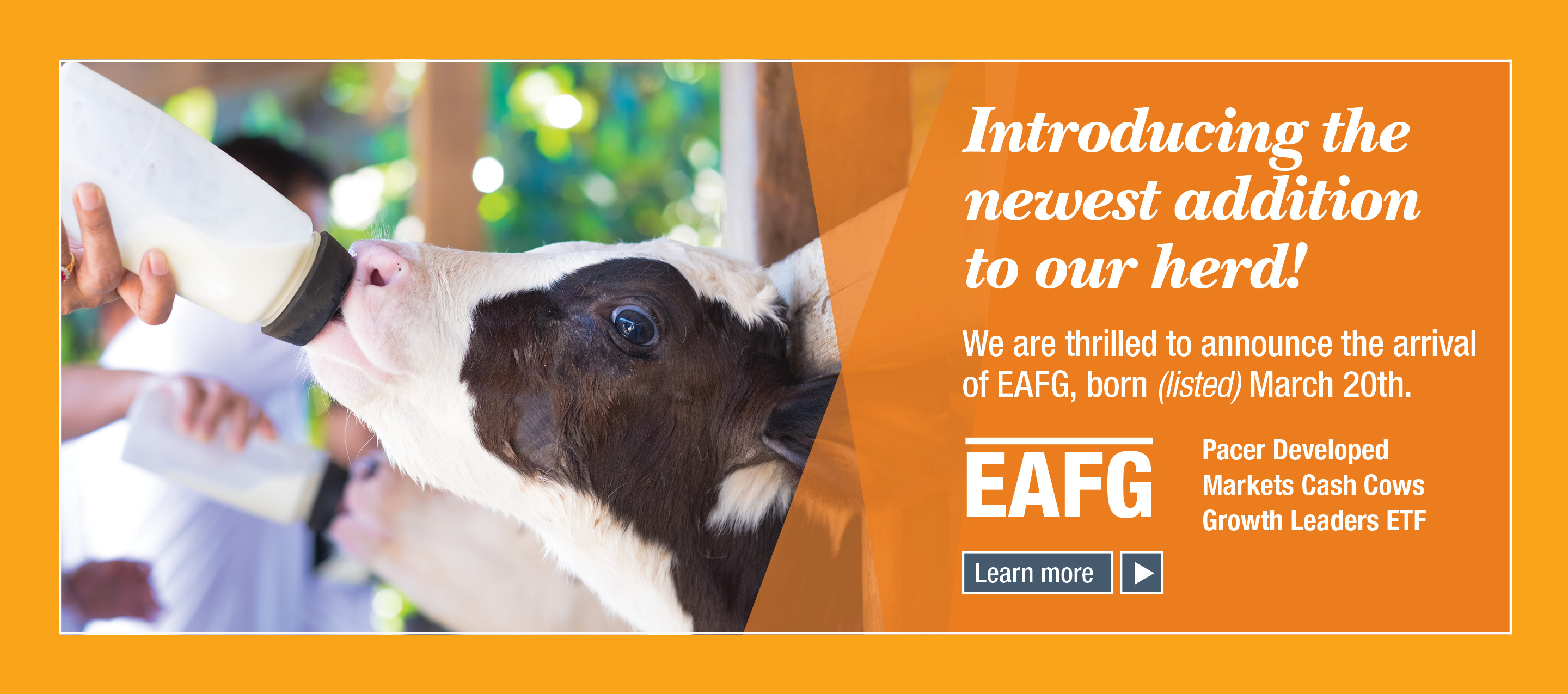 Strategy Driven ETFs® | Pacer ETFs