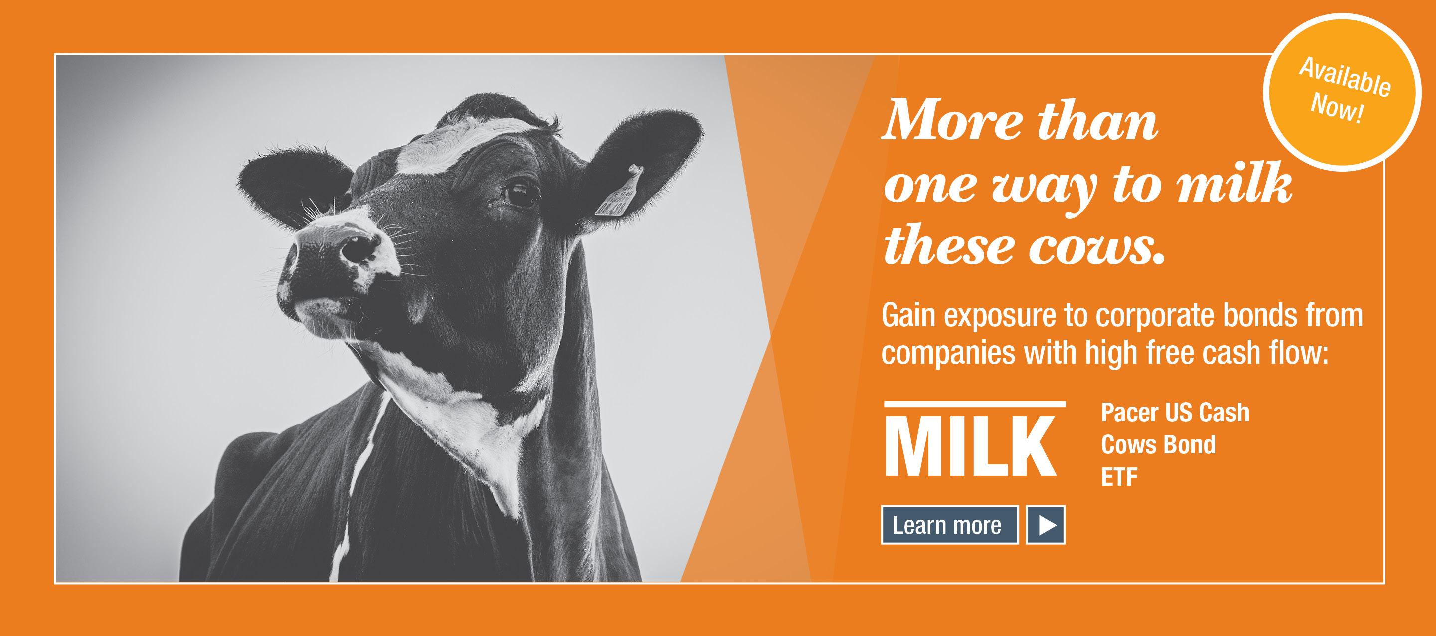 Strategy Driven ETFs® | Pacer ETFs