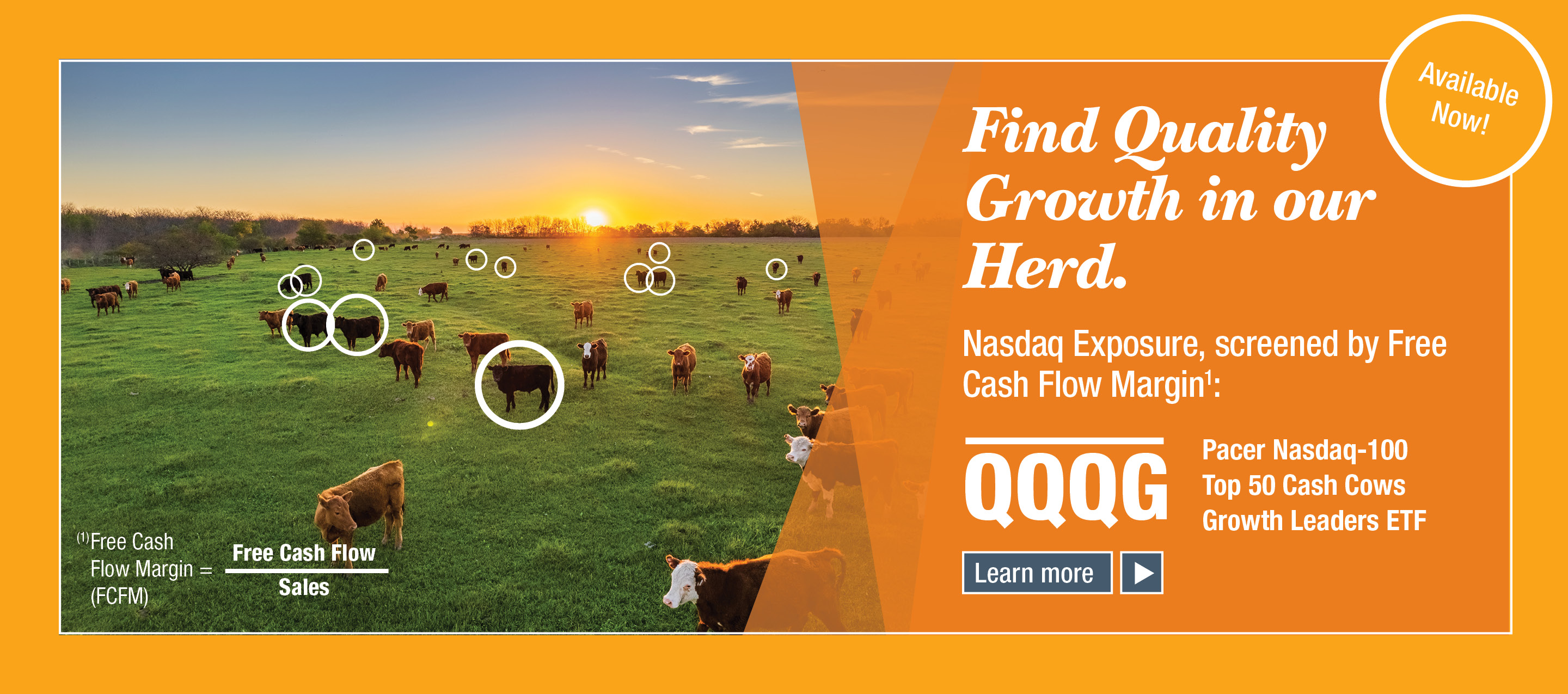 Strategy Driven ETFs® | Pacer ETFs