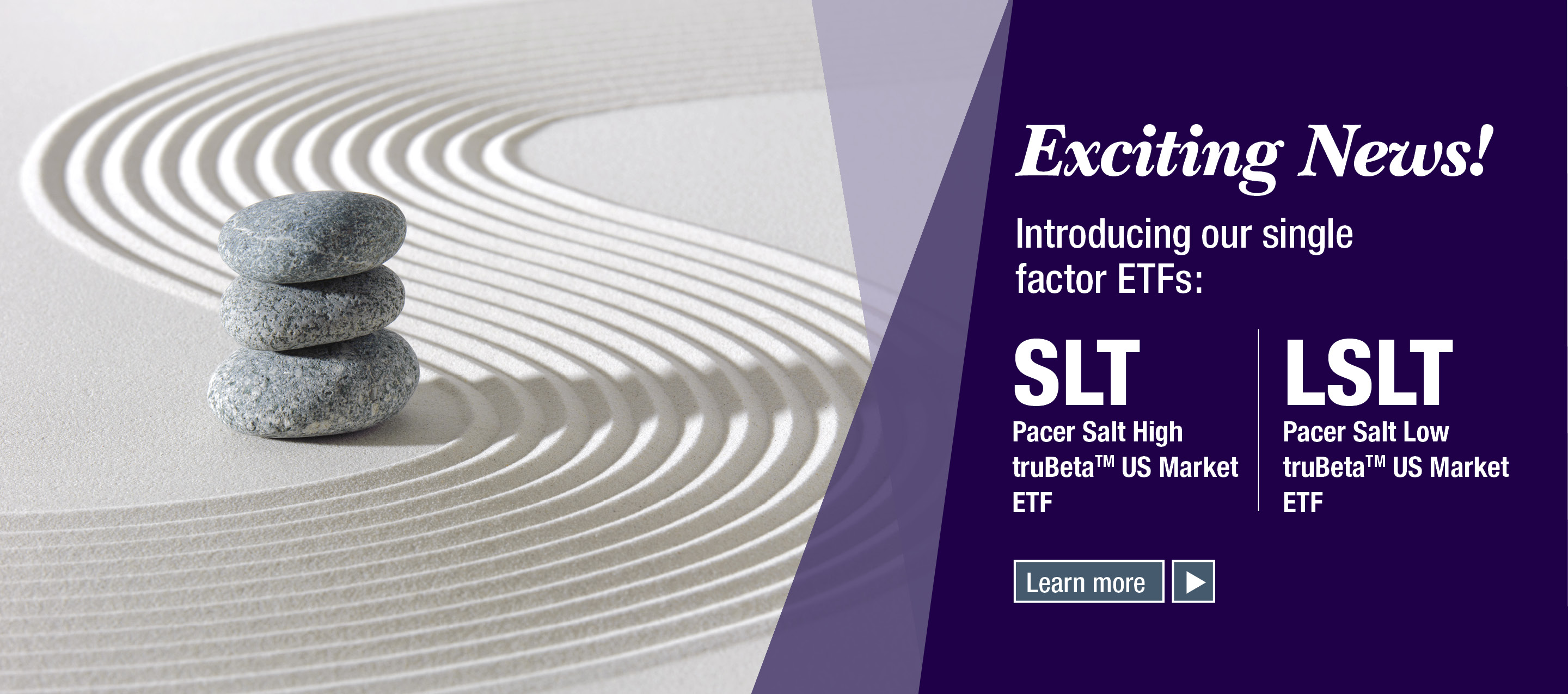 Strategy Driven ETFs® | Pacer ETFs